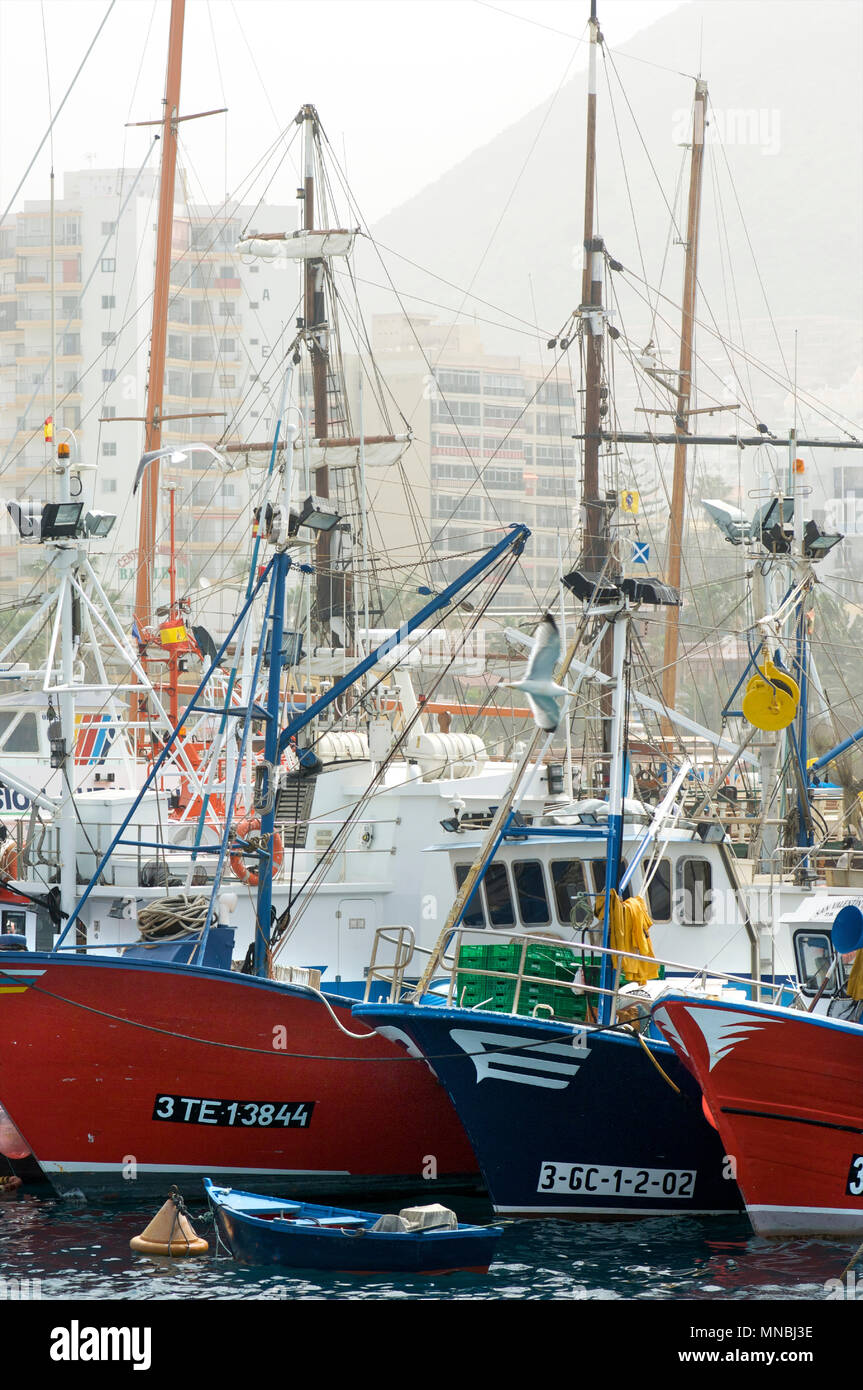 Colorful fishing boats parked in the harbor on the island of Tenerife ...