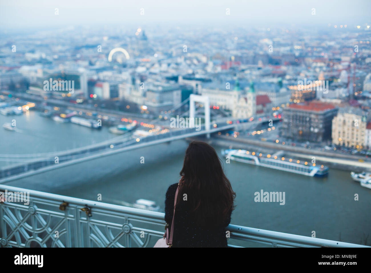 Beautuful super-wide angle aerial view of Budapest, Hungary, with ...
