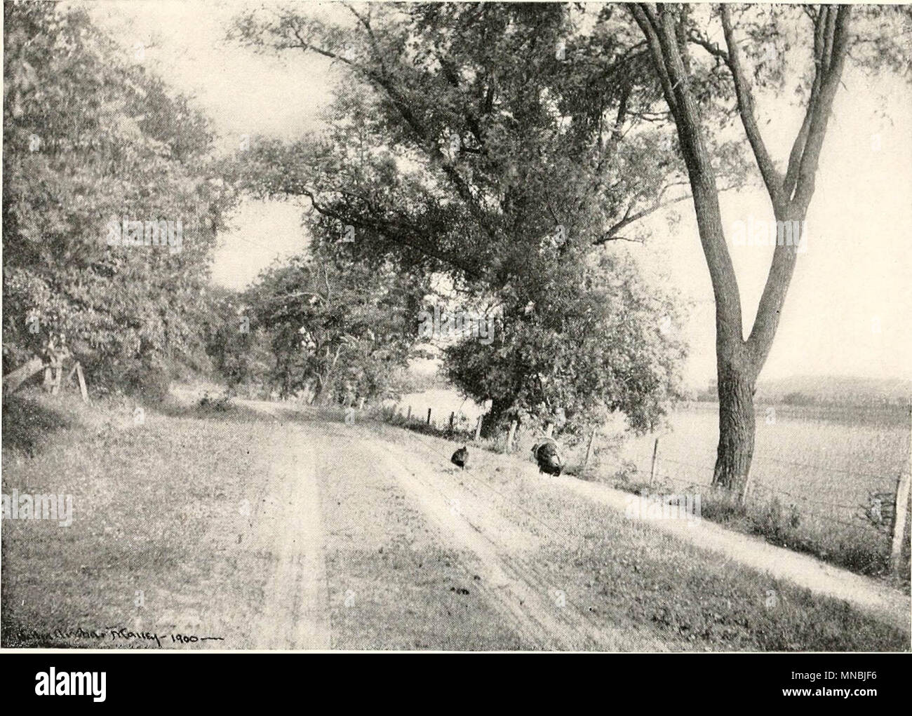 "The Mohawk Valley : its legends and its history" (1901 Stock Photo - Alamy