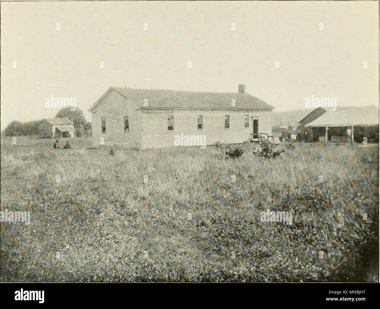 Handsome lake seneca hi-res stock photography and images - Alamy