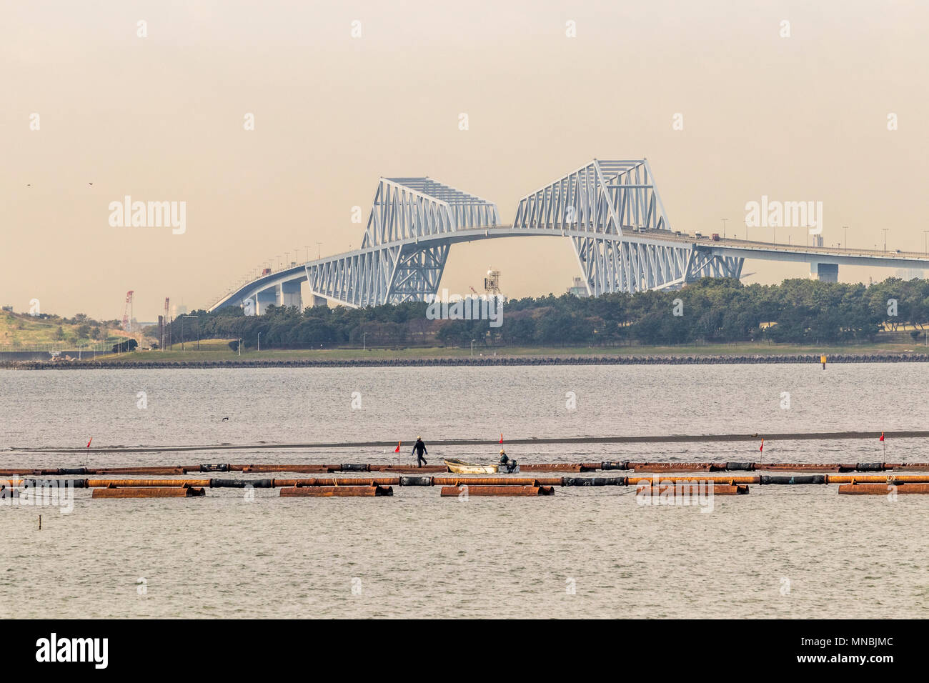 Tokyo Bay with Tokyo Gate Bridge in background Japan Stock Photo - Alamy