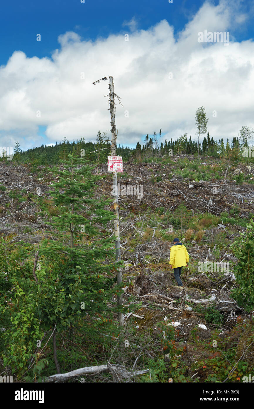 Canadian logging industry hi-res stock photography and images - Alamy