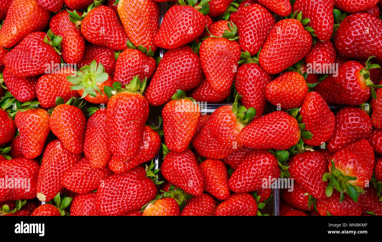 Happy strawberries hi-res stock photography and images - Alamy