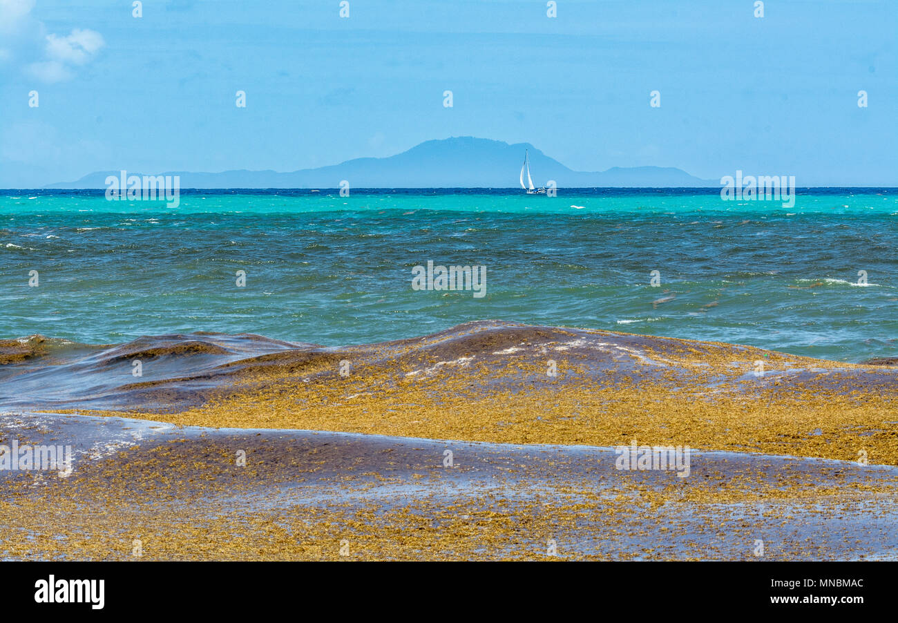 Puerto rico west coast hi-res stock photography and images - Alamy