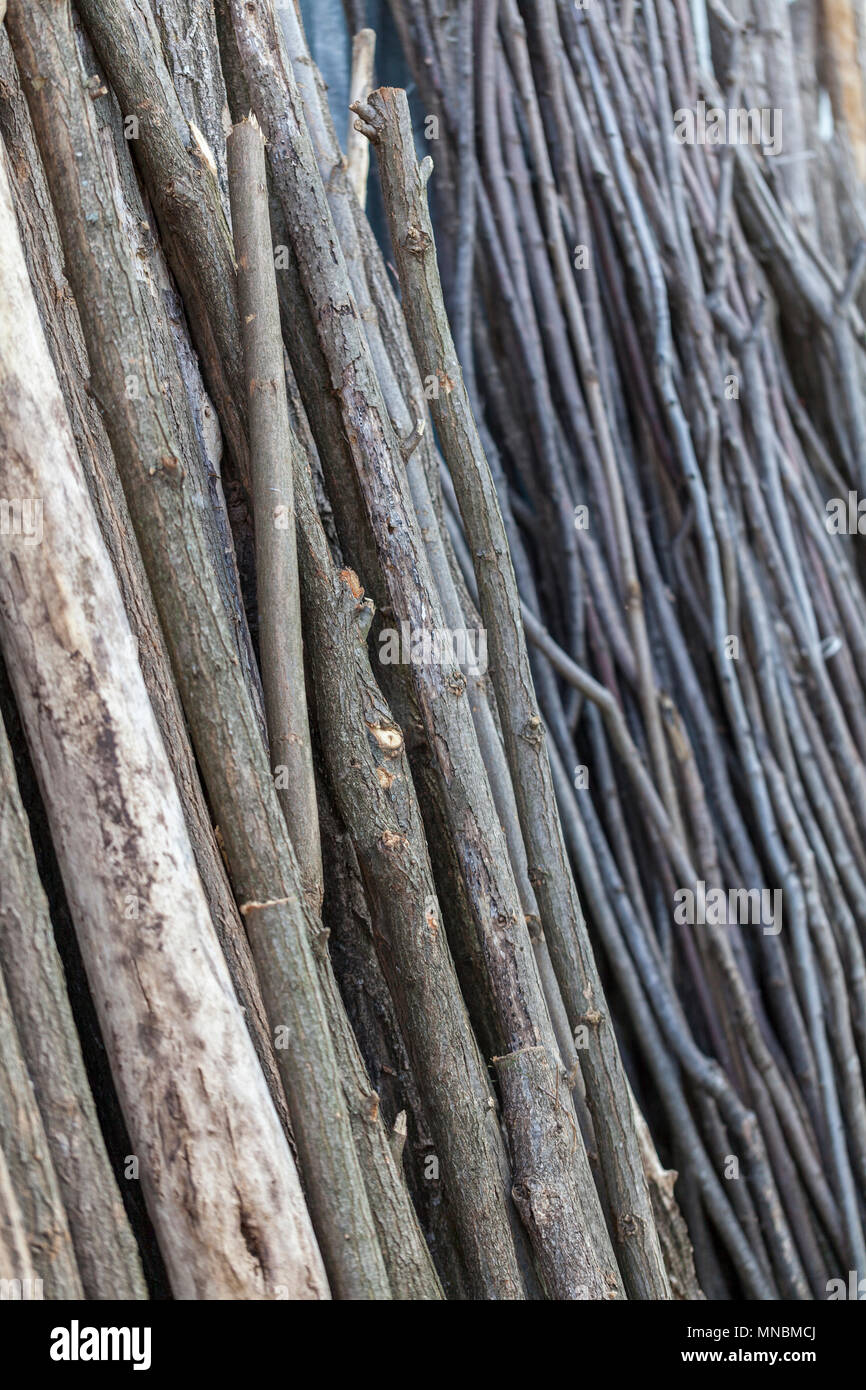 Pile tree branch wood stick hi-res stock photography and images - Alamy