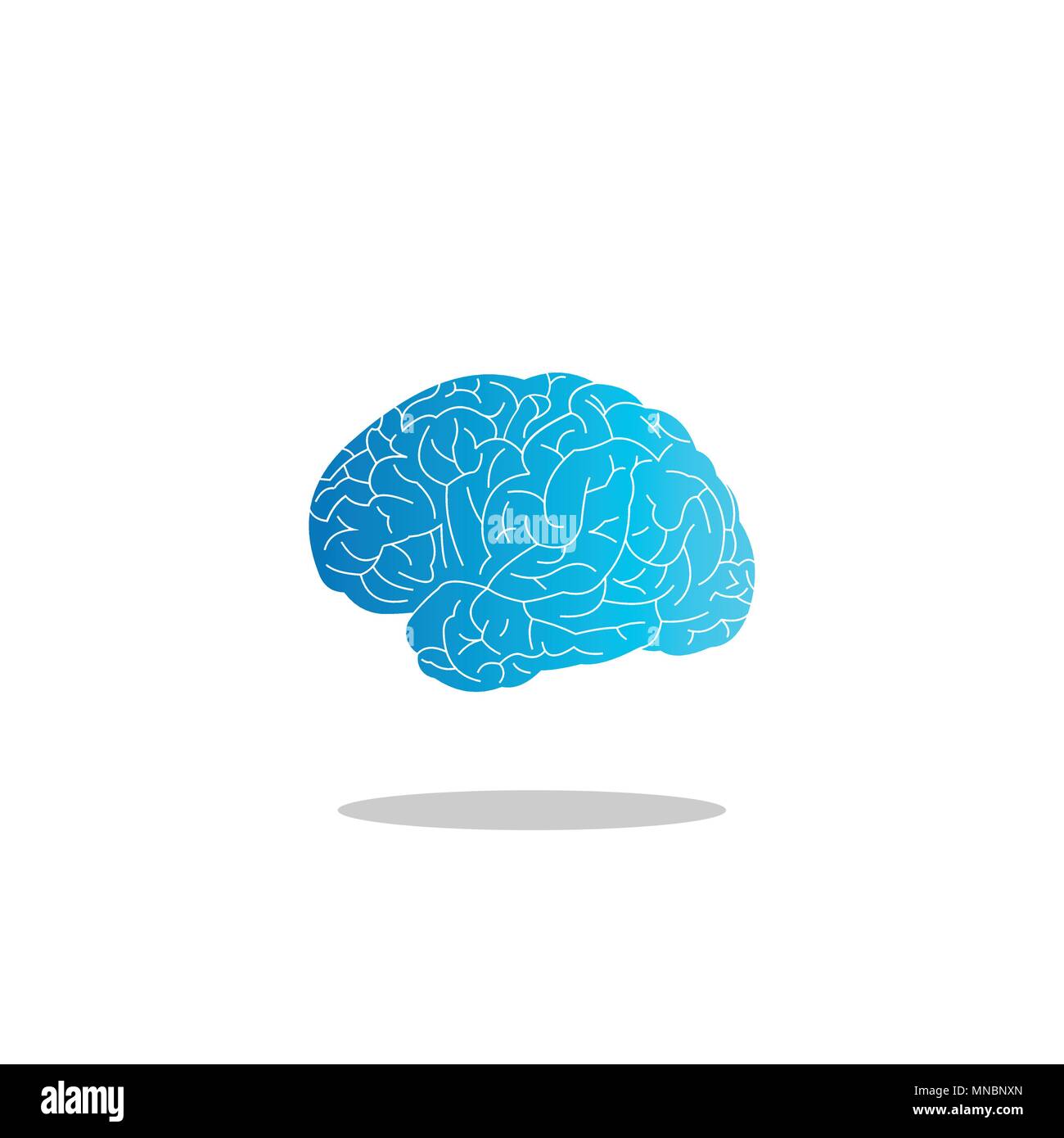 Brain Logo Vector
