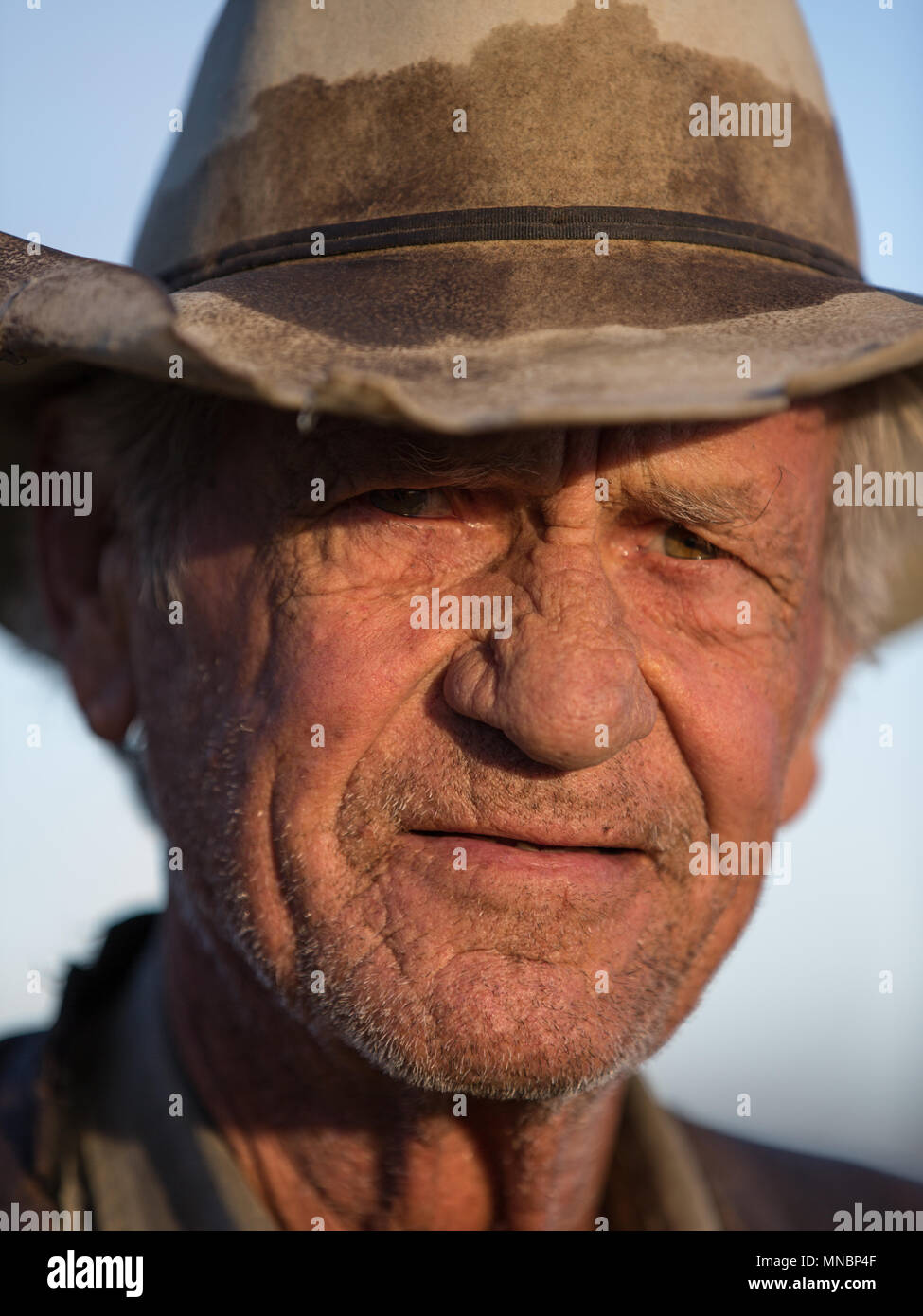 Authentic Senior Cowboy Portrait Stock Photo - Alamy