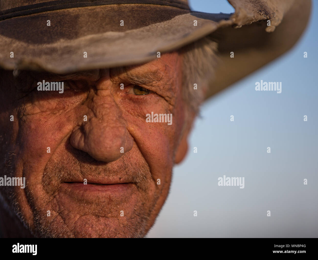 Old Timer Cowboy With Raged Hat Stock Photo - Alamy