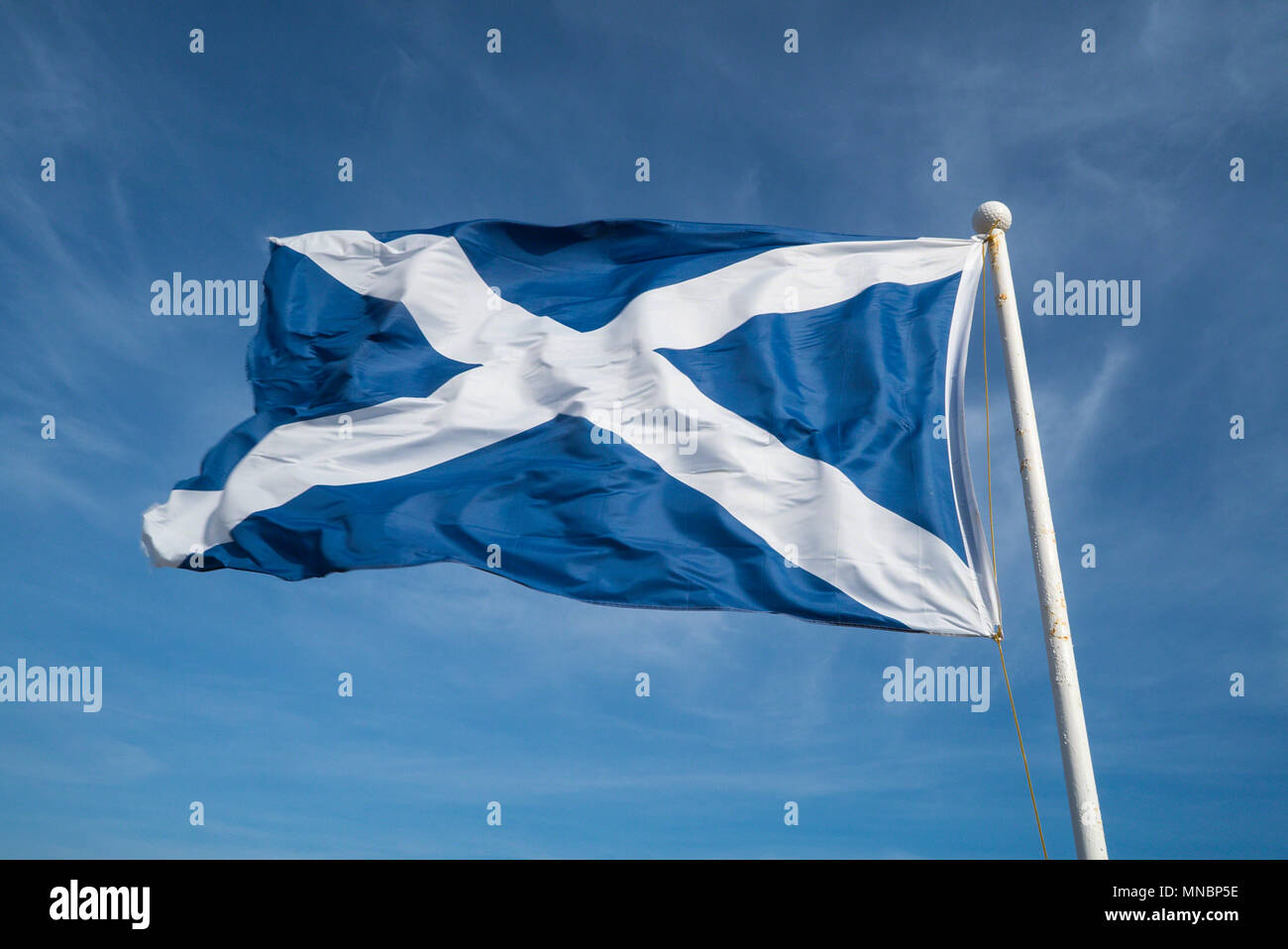 Scottish emblem hi-res stock photography and images - Alamy