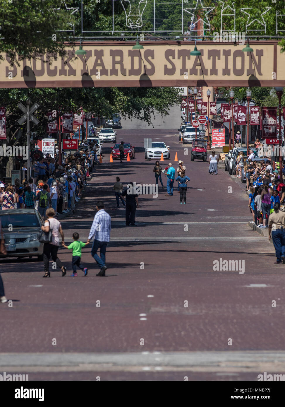 Longhorn Cattle Roundup Ft Worth Stockyards Stock Photo - Alamy
