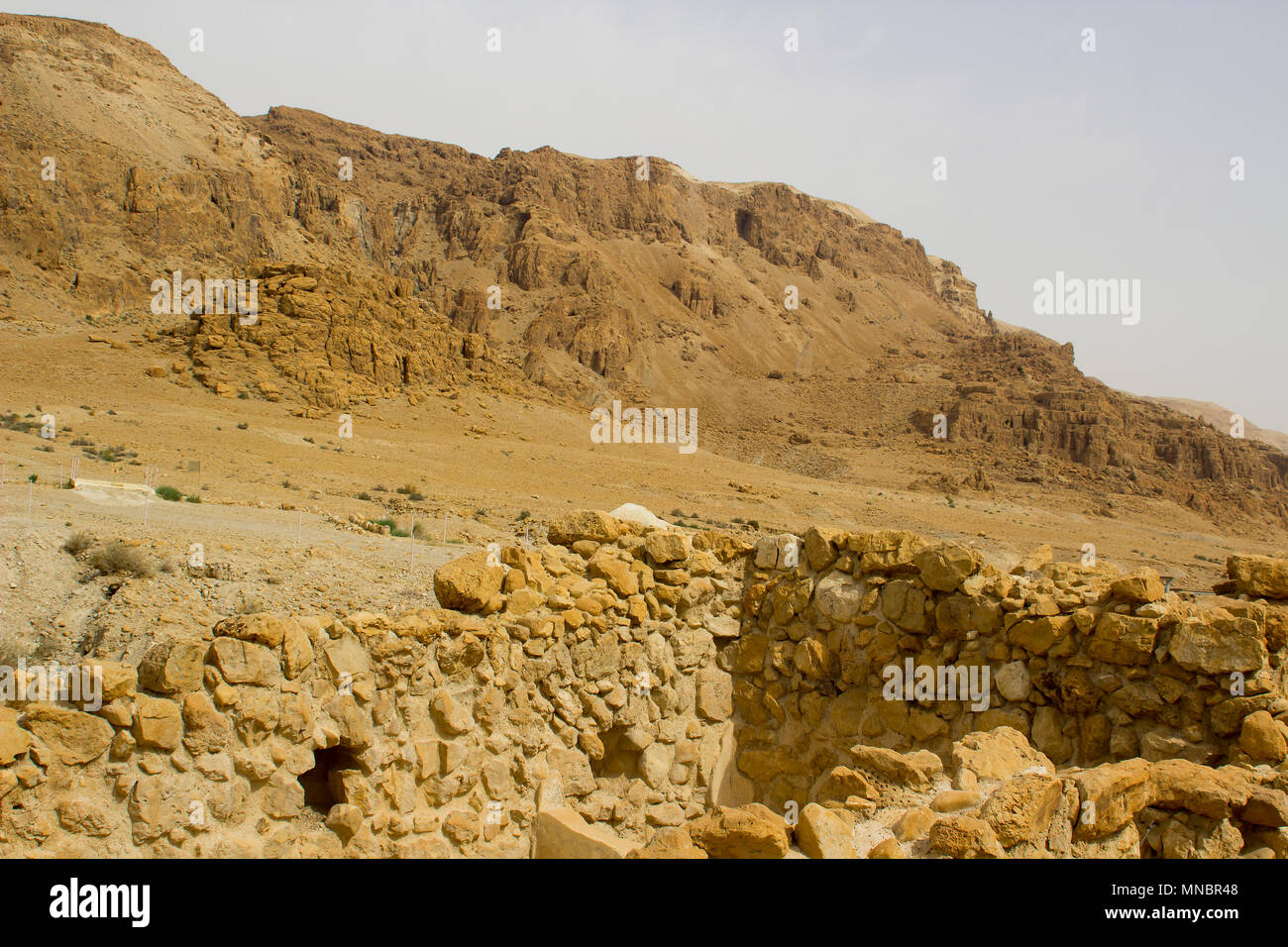 Wilderness of judea hi-res stock photography and images - Alamy