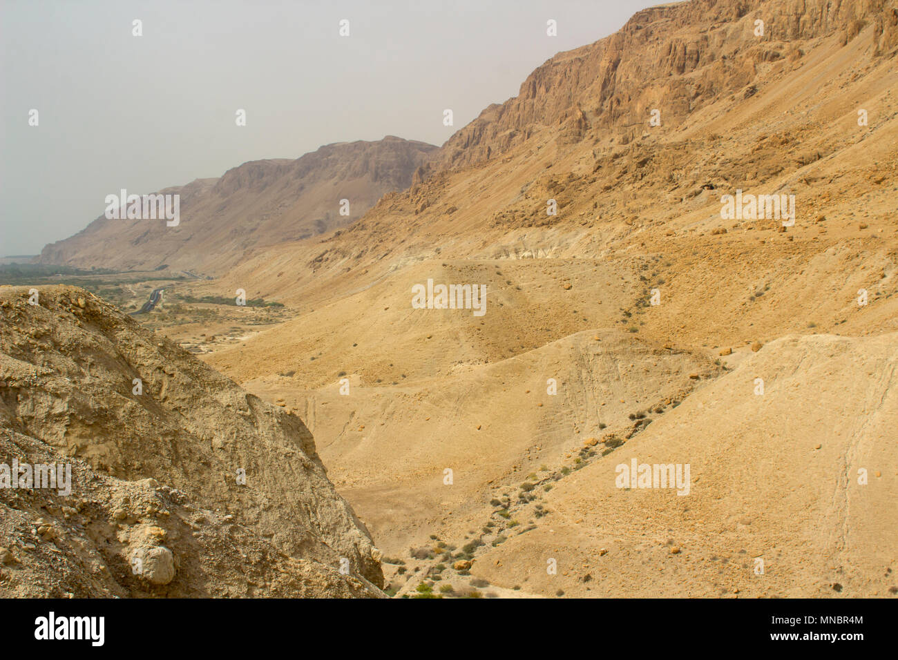 Judea region hi-res stock photography and images - Alamy