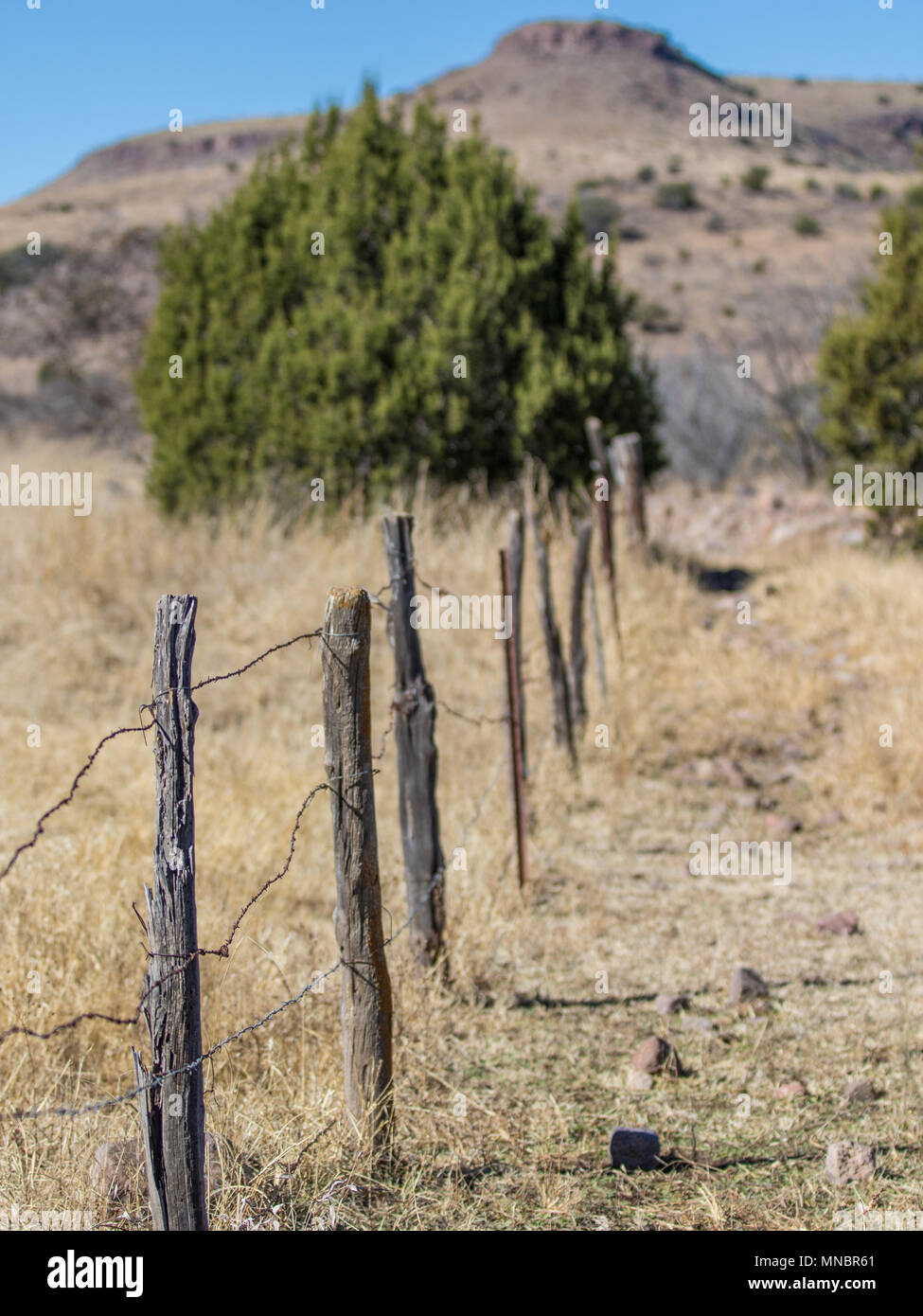 West Texas Ranch and Barbed Wire Fence Stock Photo - Alamy
