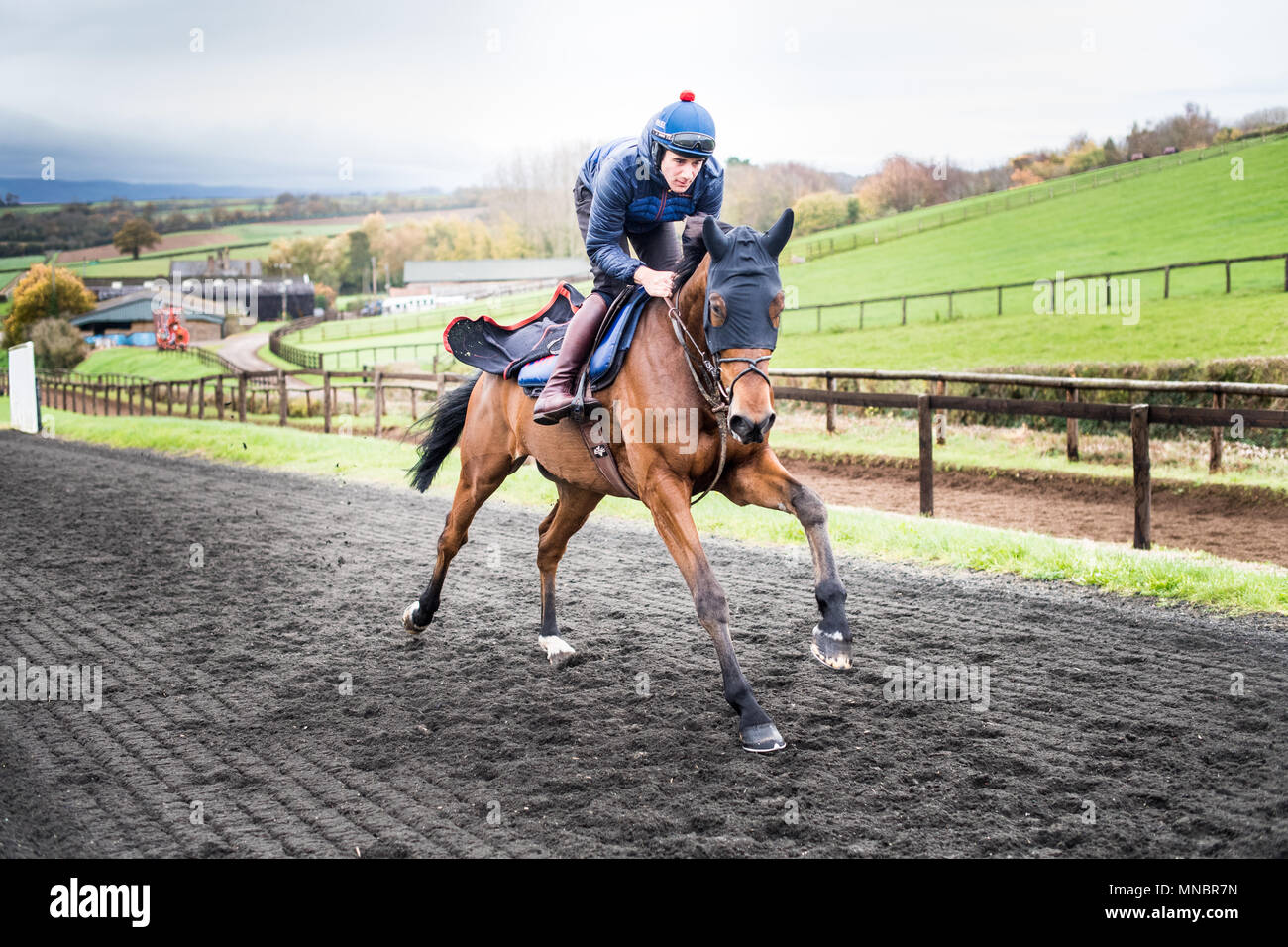 Trainer stables stable hi-res stock photography and images - Alamy