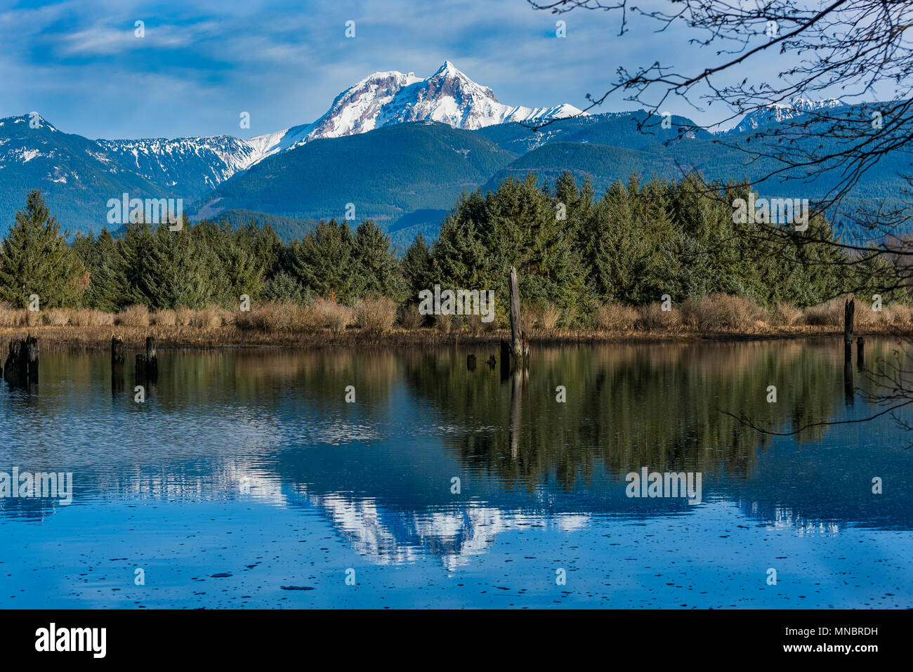 Reflection of Mount Garibaldi in Squamish estuary, Squamish, British ...