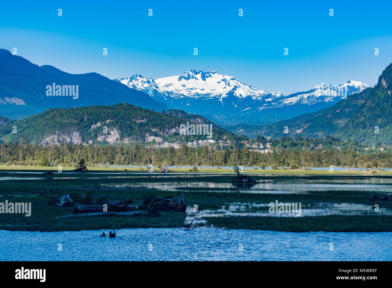 Canada estuary hi-res stock photography and images - Alamy