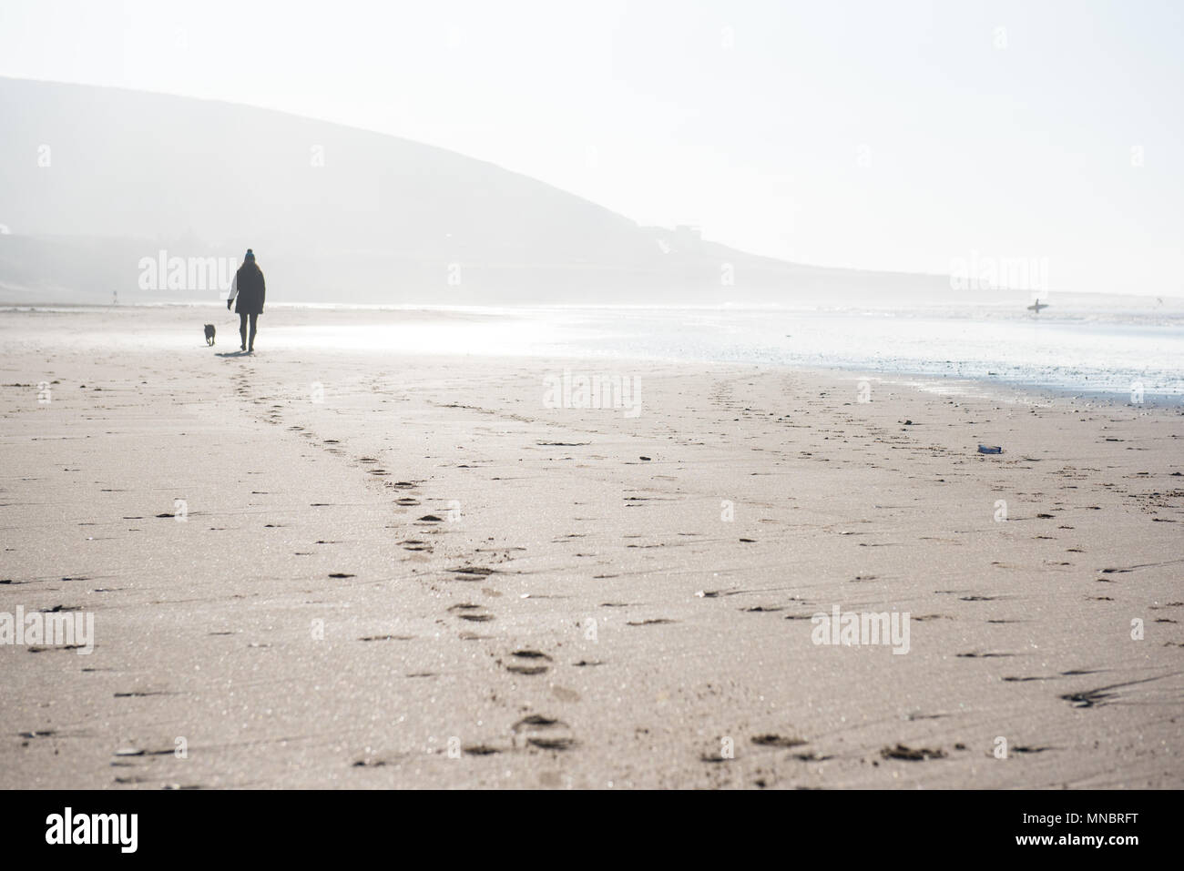 A woman walking her dog on Croyde beach Devon Stock Photo - Alamy
