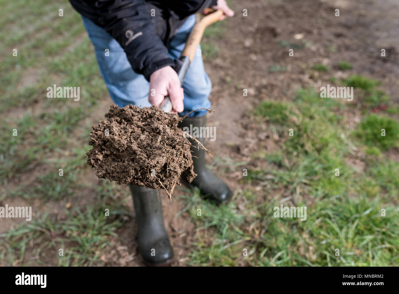 A man digging soil on a farm Stock Photo - Alamy