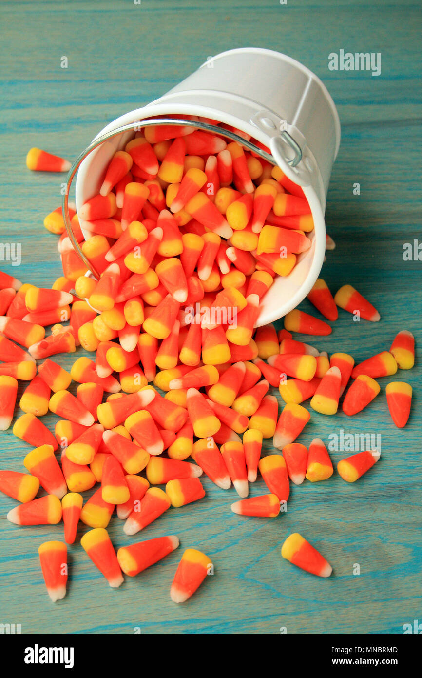 Candy Corn spilling out of a white bucket. Vertical format photograph ...
