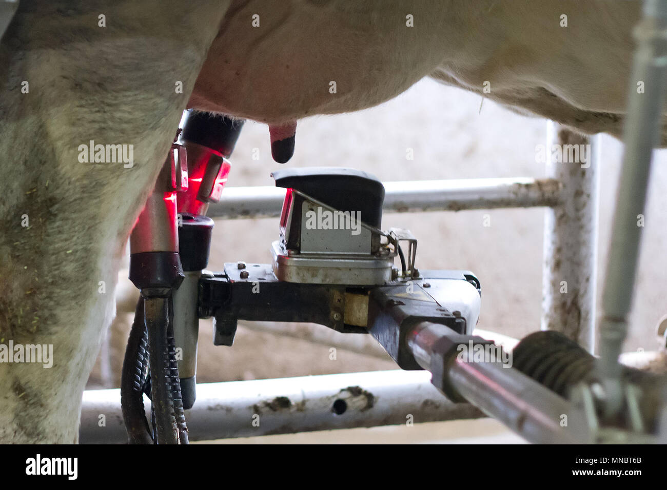 Tools gauges hi-res stock photography and images - Alamy