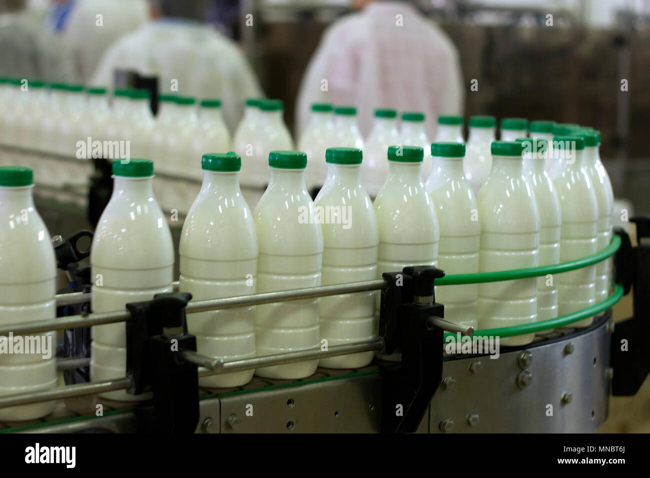 Dairy Plant. Conveyor with milk bottles Stock Photo - Alamy