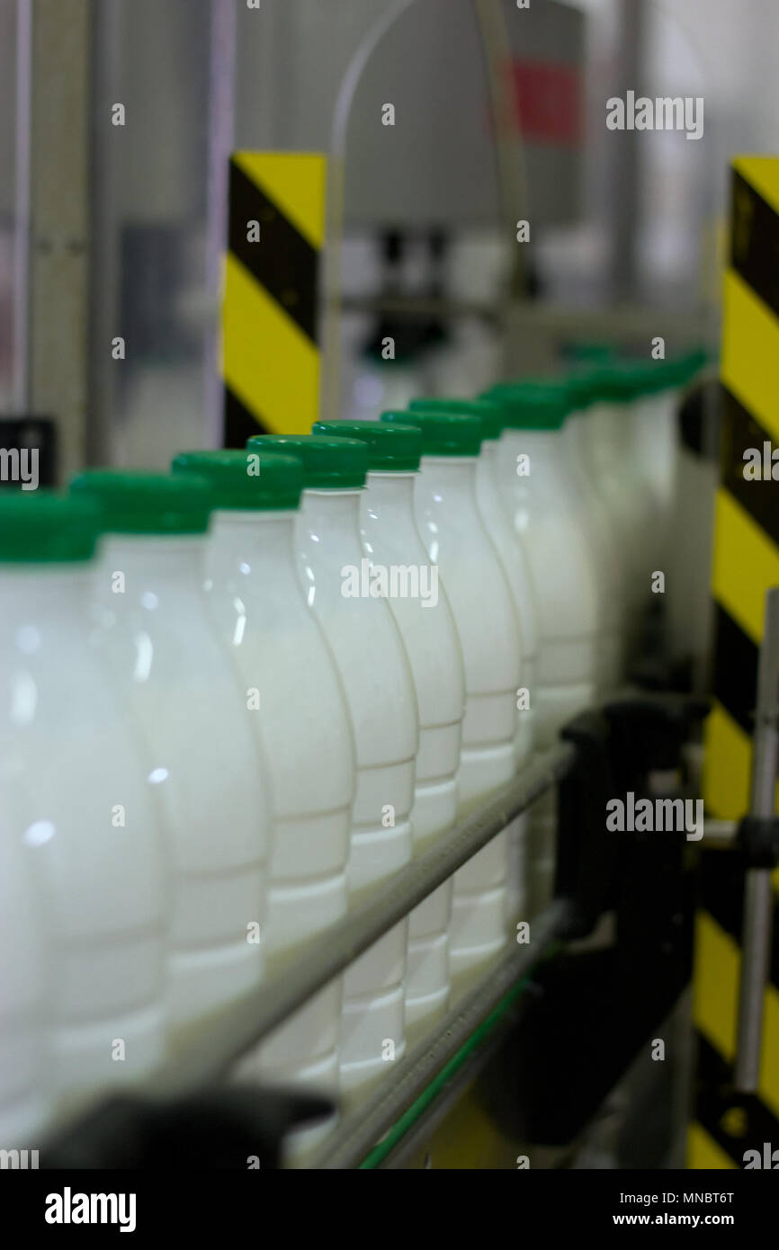 Dairy Plant. Conveyor with milk bottles Stock Photo - Alamy