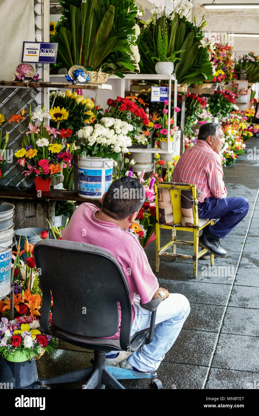 Mexico City,Hispanic,Mexican,Alvaro Obregon San Angel,flower market ...