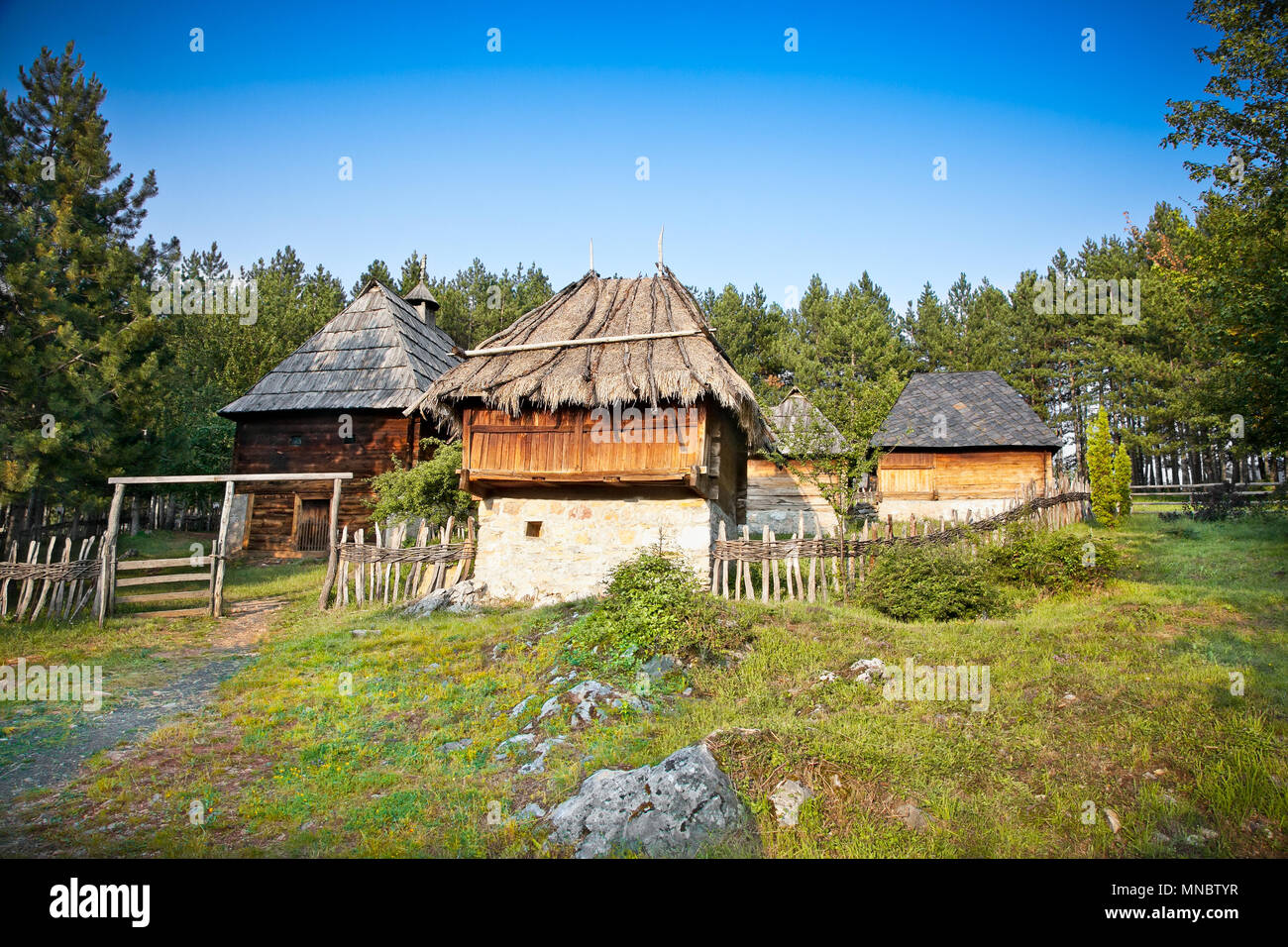 Siriogojno hi-res stock photography and images - Alamy