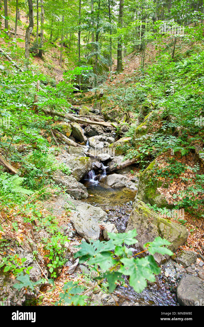 Manastirica river in forest surroundings on Divcibare mountain, Serbia ...