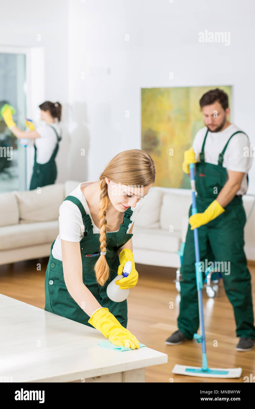 Young people in cleaning company working in spacious living room Stock ...