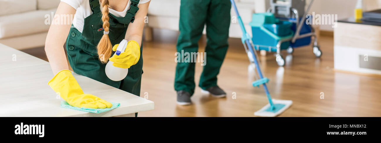 Professional crew is cleaning everything in the house Stock Photo - Alamy