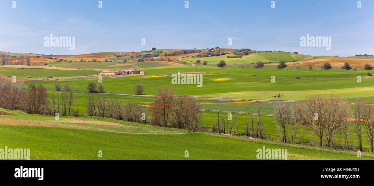 Salamanca spain countryside hi-res stock photography and images - Alamy