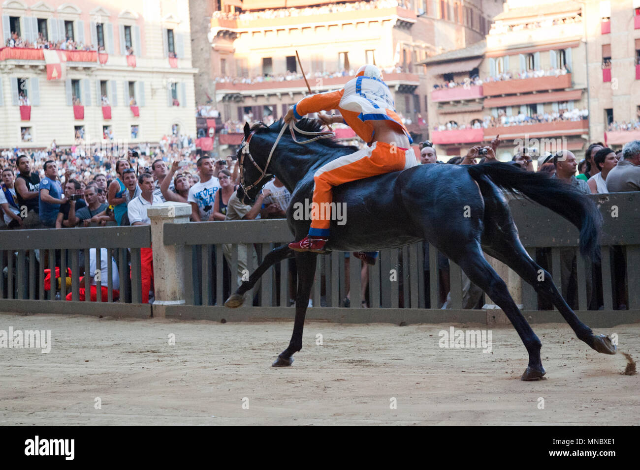 contrada of unicorn, the race, palio of siena, siena, tuscany, italy ...
