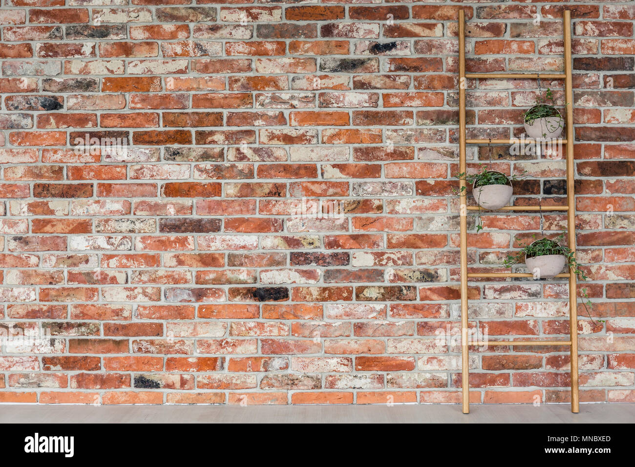 Ladder Simplicity Wall High Resolution Stock Photography and Images - Alamy