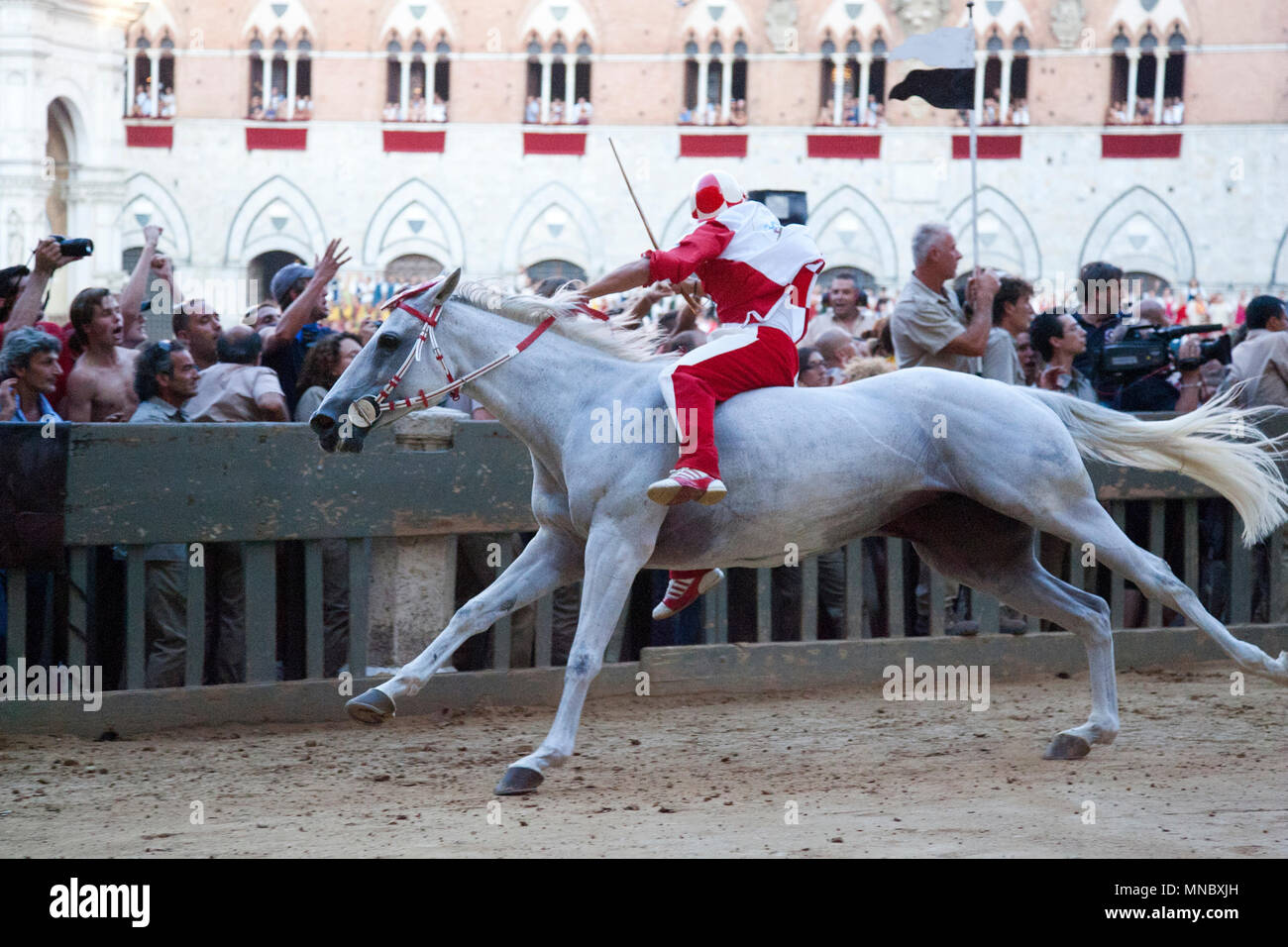Palio of siena horses hi-res stock photography and images - Alamy