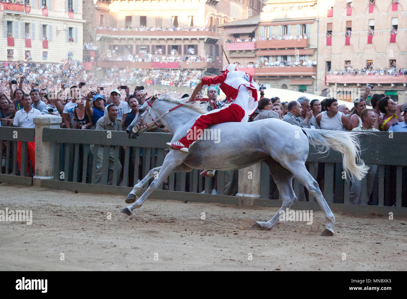 Palio of siena horses hi-res stock photography and images - Alamy