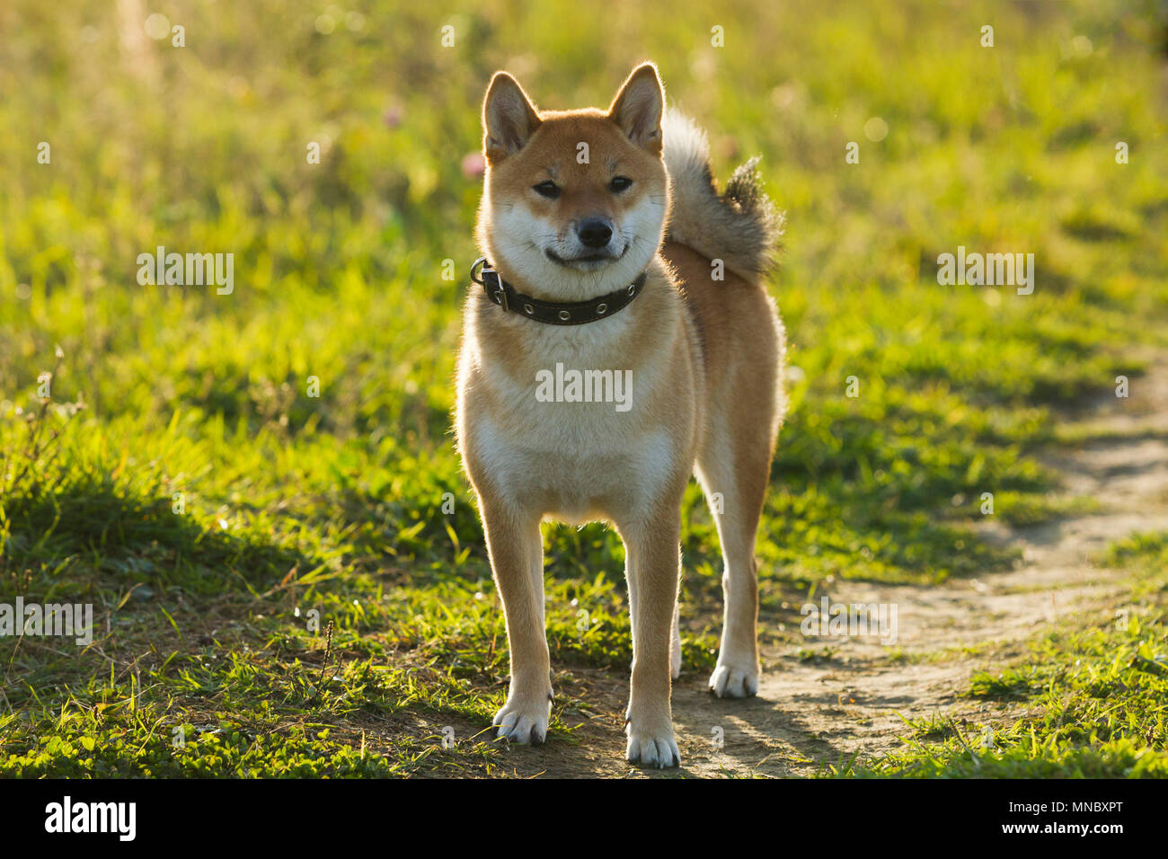 Village of ina hi-res stock photography and images - Alamy
