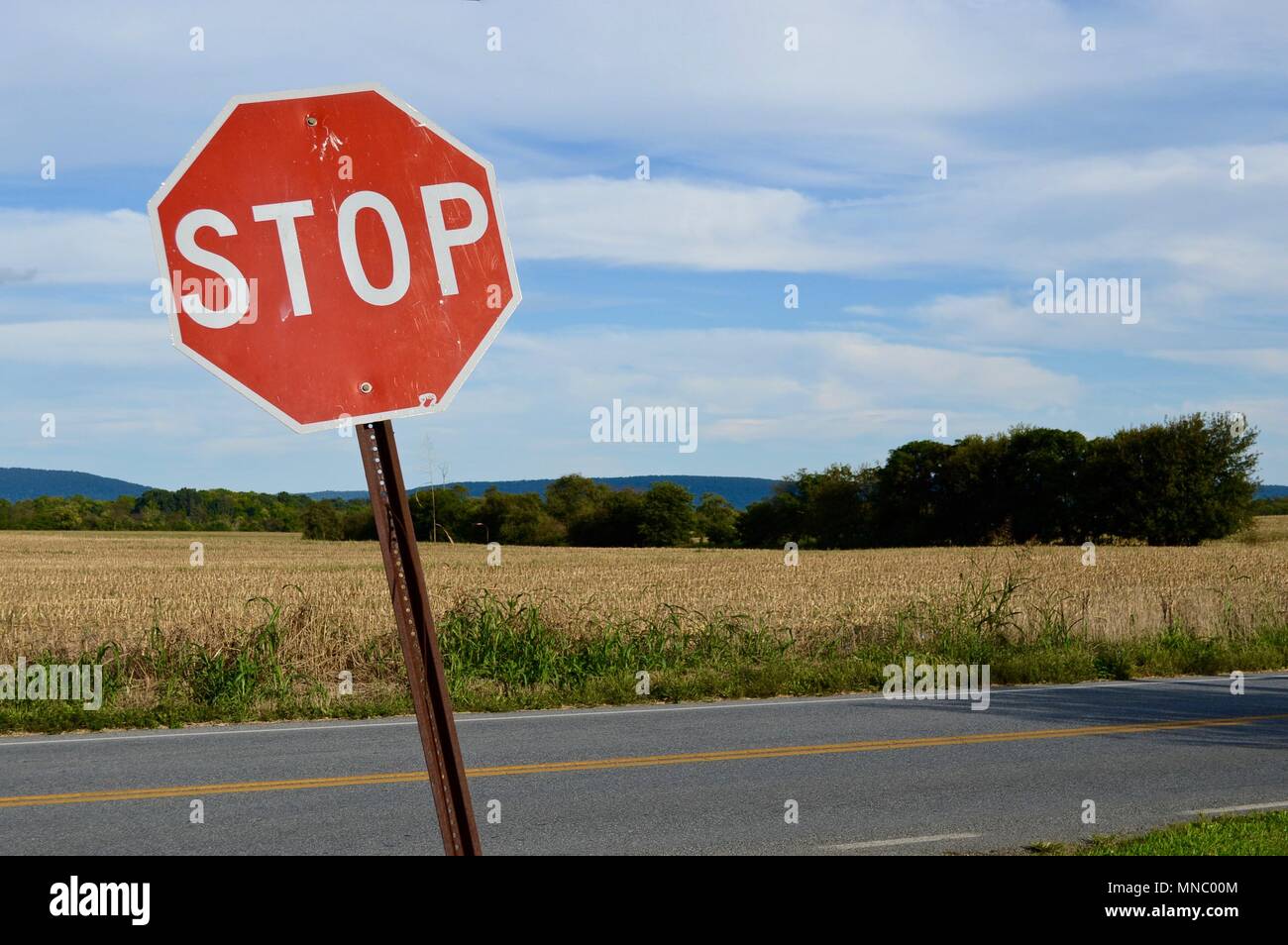 American octagonal Stop sign leaning beside a road Stock Photo - Alamy