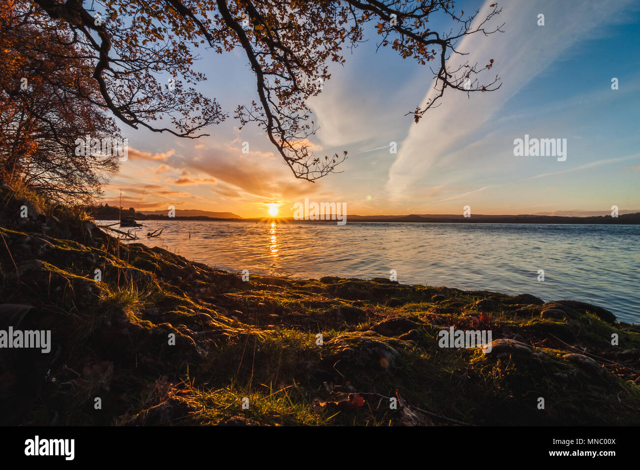 Scotland golden hi-res stock photography and images - Alamy