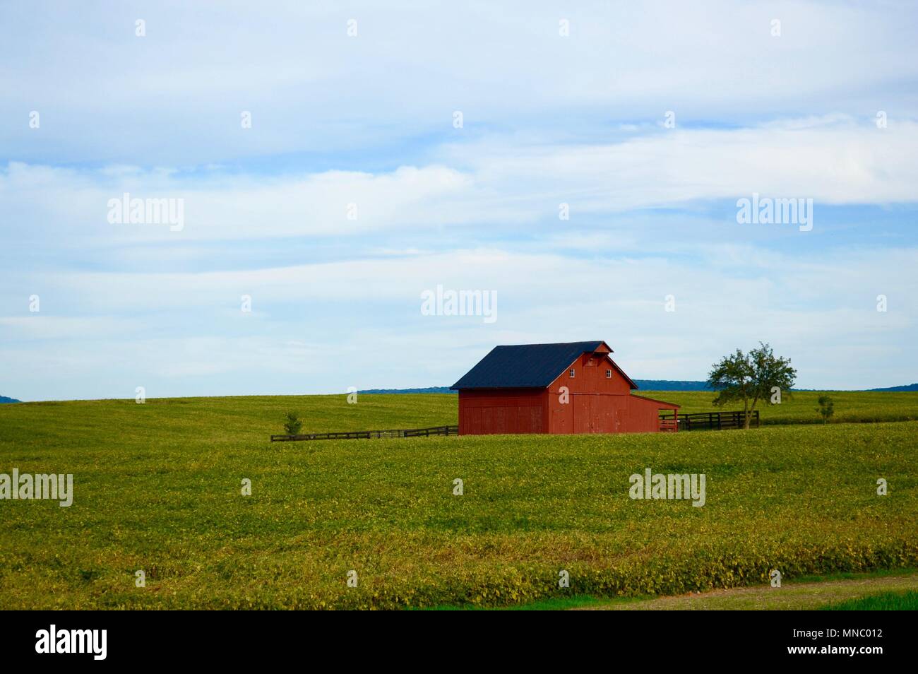 Red Barn in an American Green Field Stock Photo - Alamy