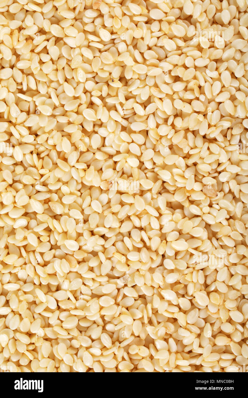 sesame seeds background - full frame Stock Photo - Alamy