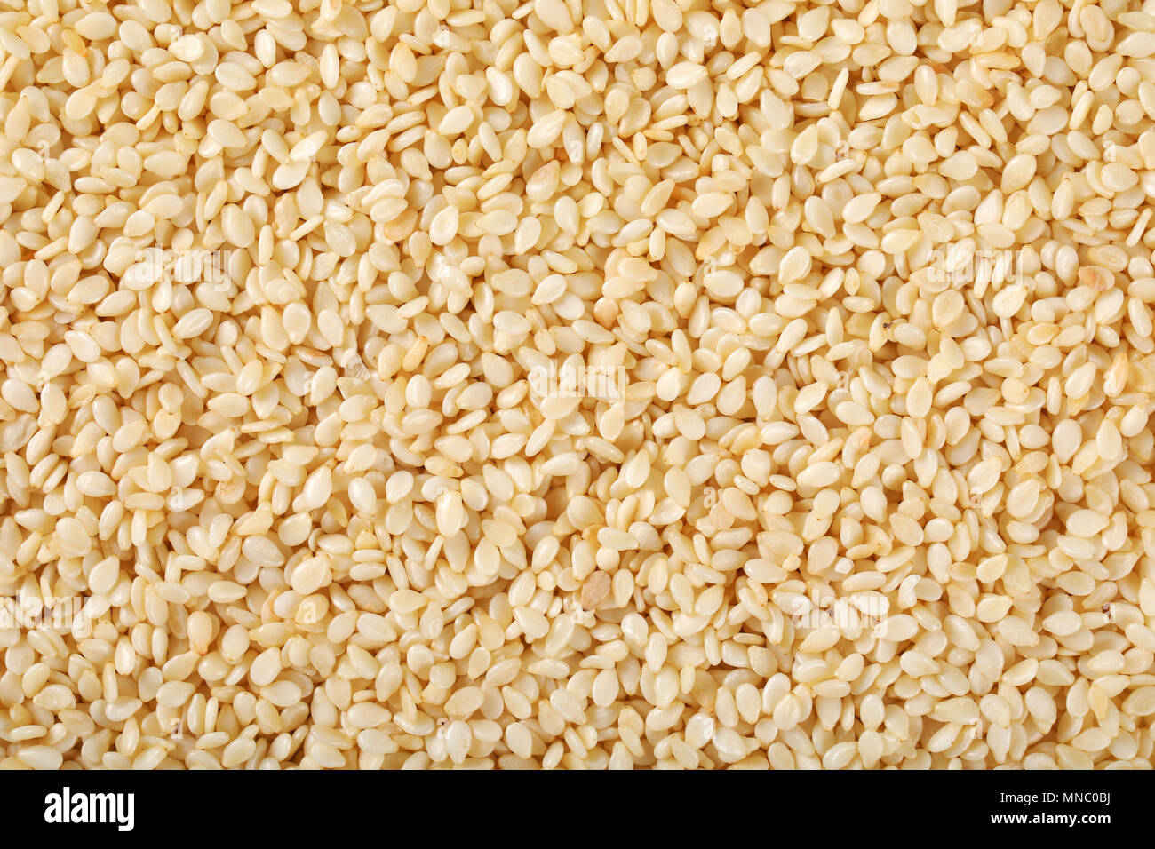 sesame seeds background - full frame Stock Photo - Alamy