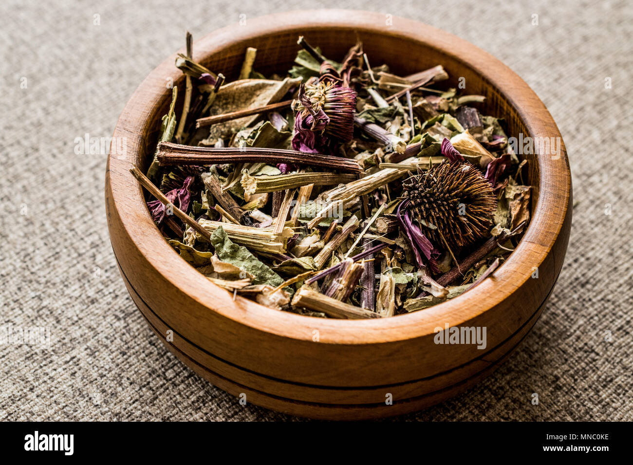 Echinacea plant with root hi-res stock photography and images - Alamy