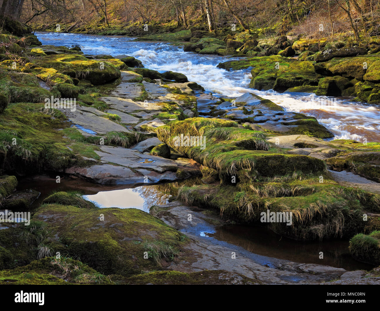 Yorkshire dales river wharfe the strid hi-res stock photography and ...