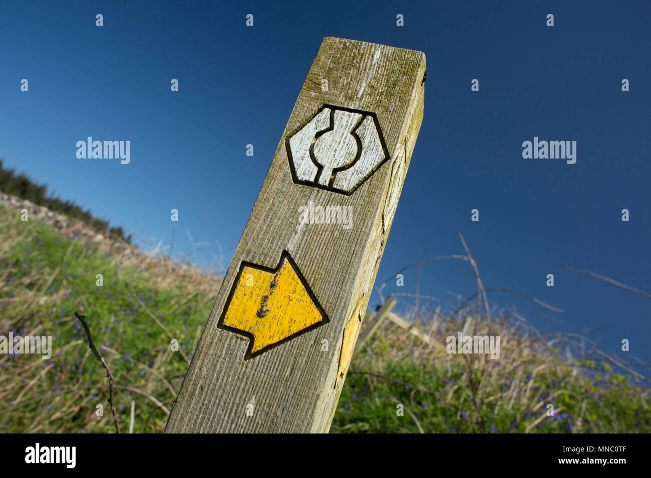 The Southern Upland Way is Britain’s first official coast to coast long ...