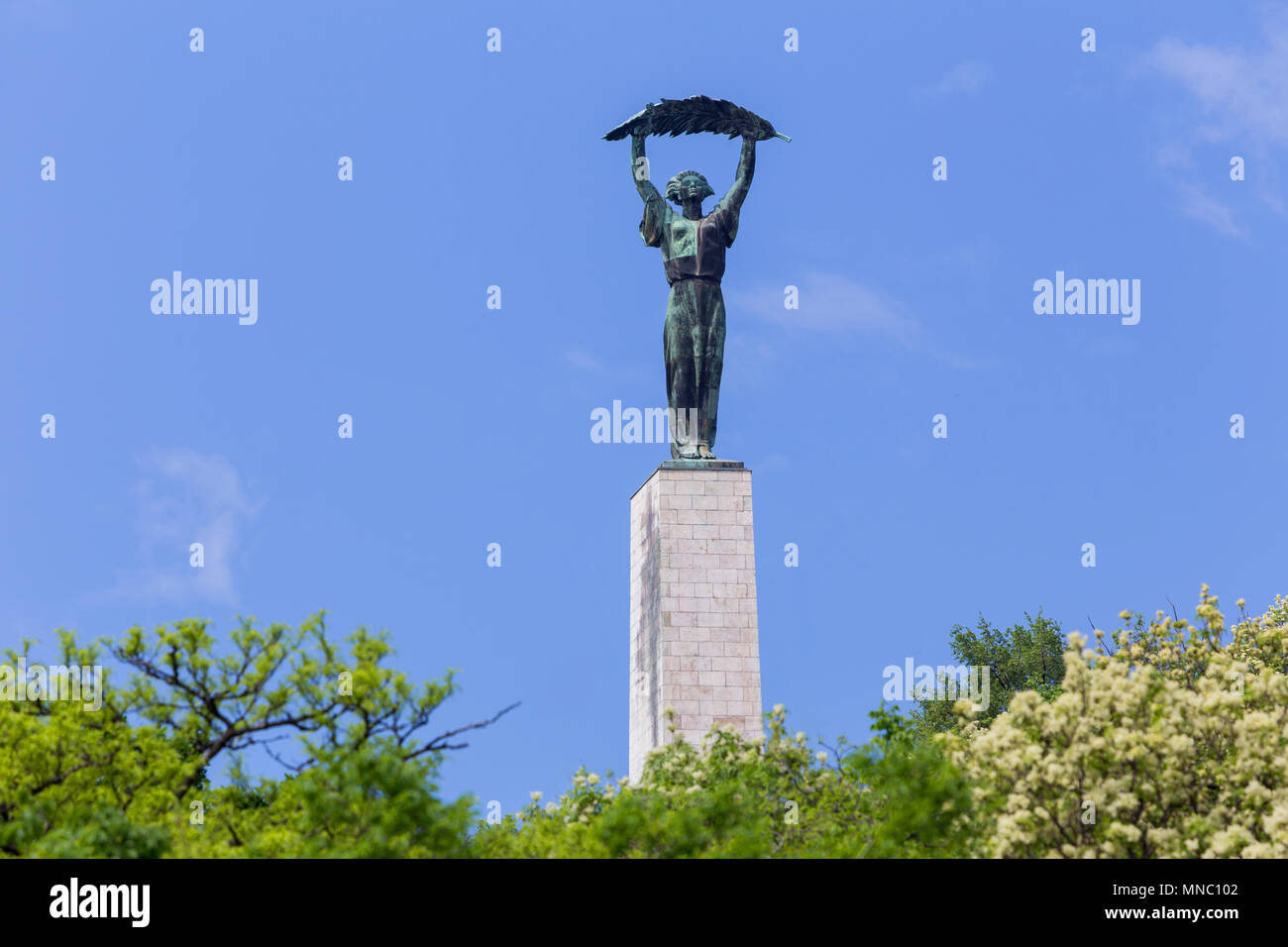 Liberty statue gellert mountain hi-res stock photography and images - Alamy