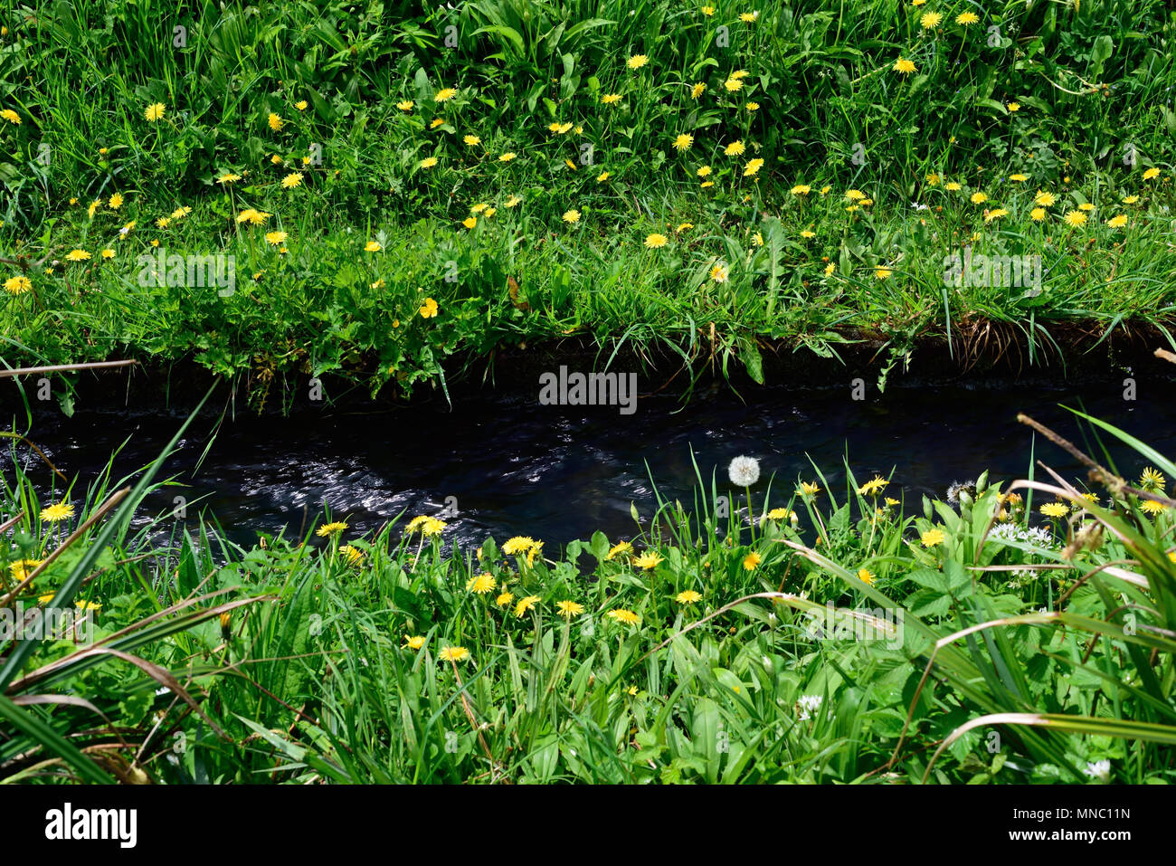 Feeder channel hi-res stock photography and images - Alamy