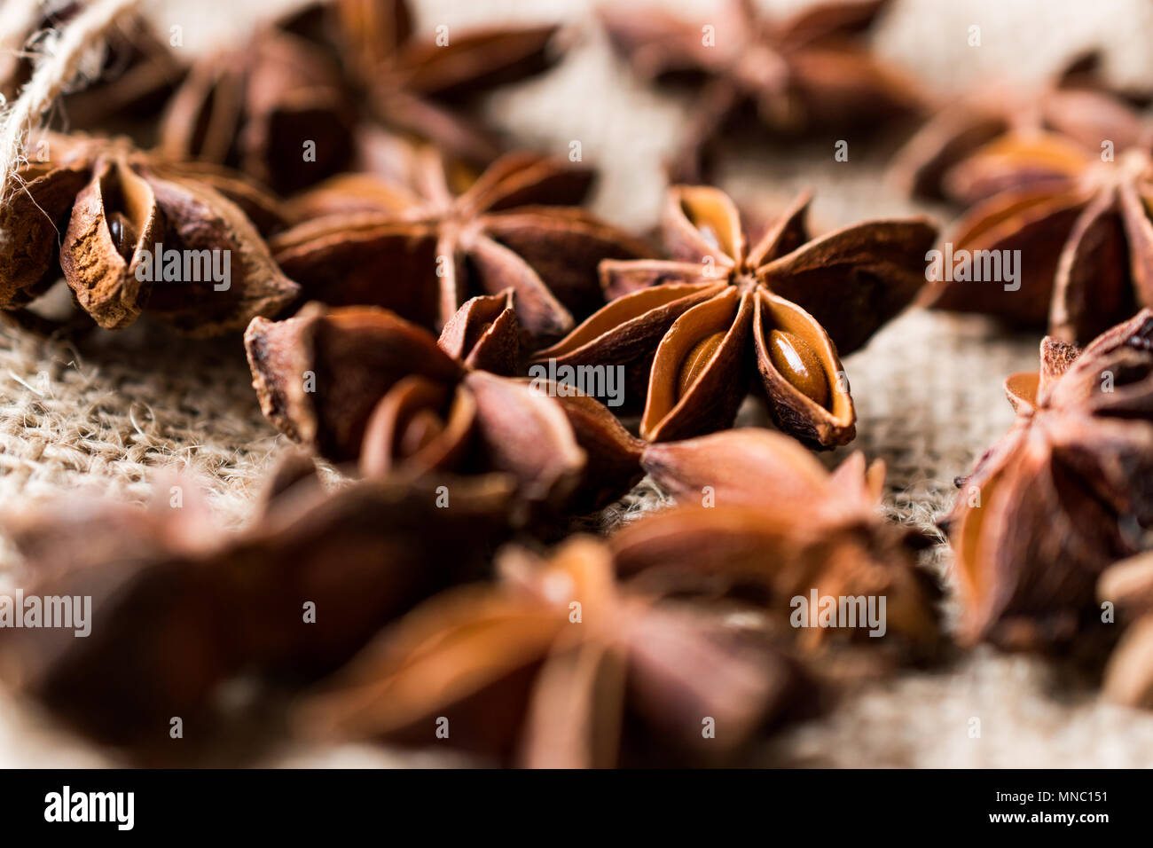 Star Anise Spice Fruits and Seeds on a Sack. Organic Product Stock ...