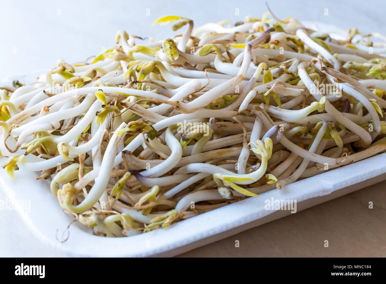 Package of Bean Sprouts / Mungbean or Soybean. Organic Food Stock Photo ...