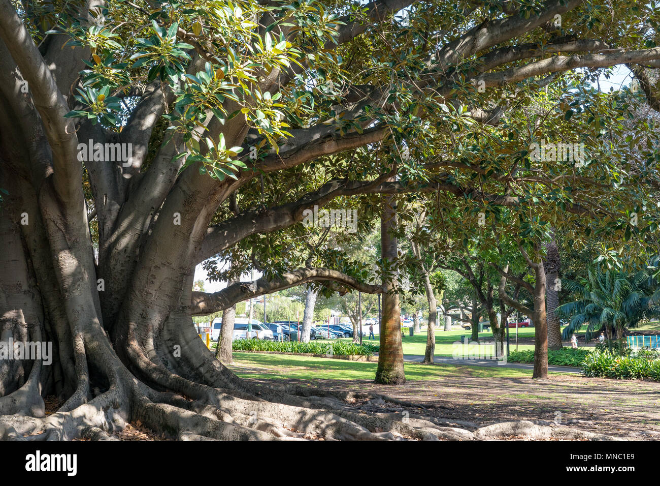 Hyde Park Perth Stock Photo - Alamy